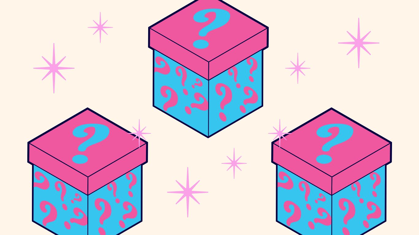 Mystery Boxes | Dunk Cookies